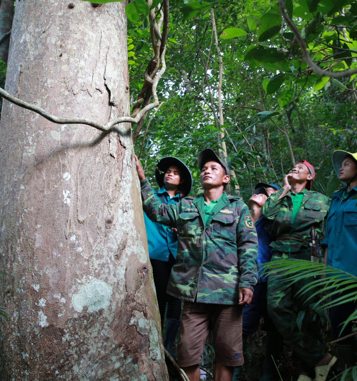 Nature-Based Solutions - the Pathway to bridge the UN Conventions: Looking ahead from COP16 ...